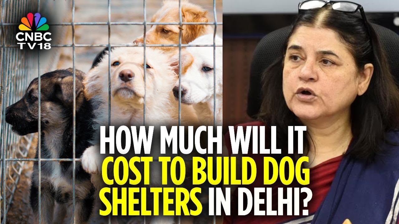 Maneka Gandhi Breaks Down The Cost Involved In Building Dog Shelters In ...