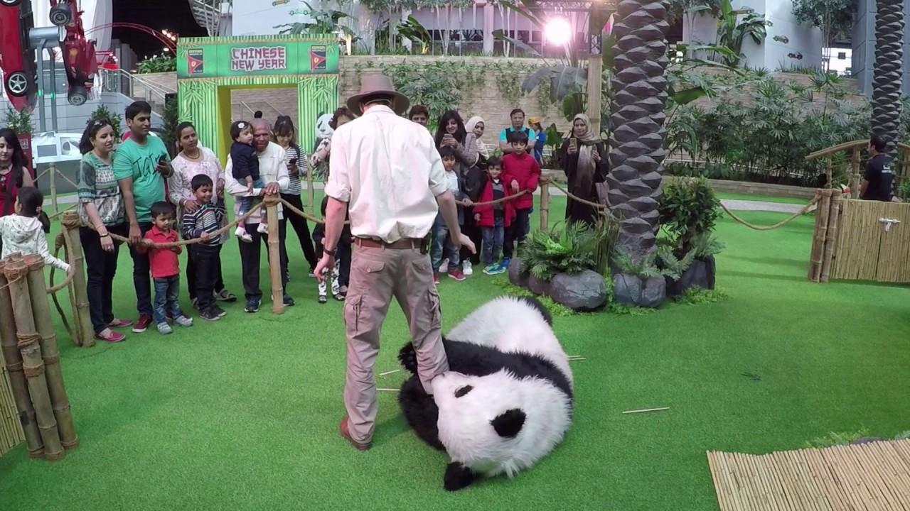 "Panda Show" Ferrari World Abu Dhabi Chinese New Year 2017 - YouTube