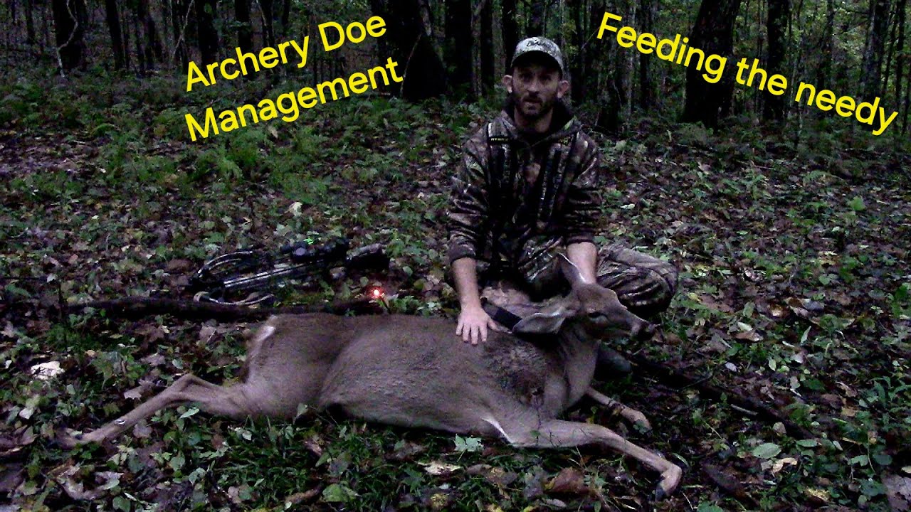 Why You Should Shoot a Doe (and How to Do It) - YouTube