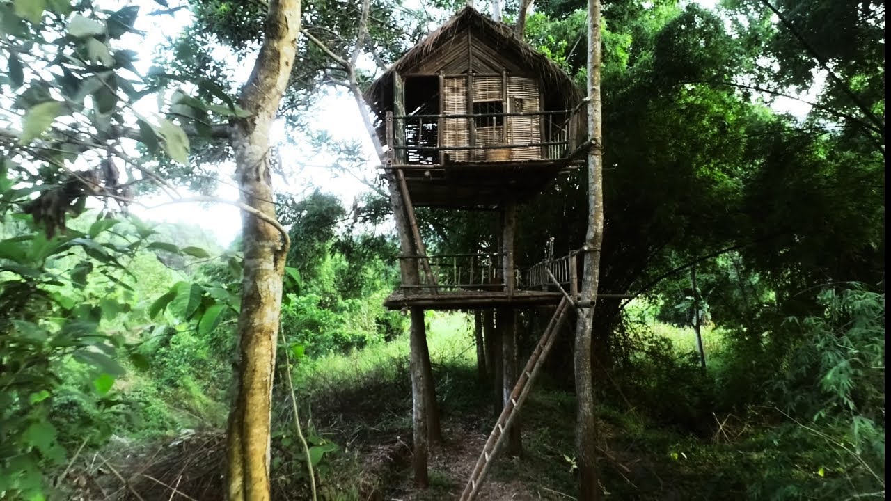 Full The First Green House.15 Days To Build A Tree House - Wild Green ...