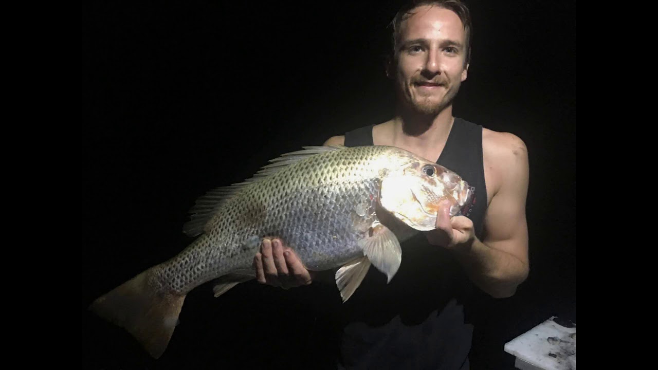 fishing mackay QLD - YouTube