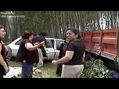 2004 KÖY PİKNİGİ