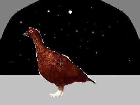 A couple of Famous Grouse fan animations I made back in 2003 - YouTube