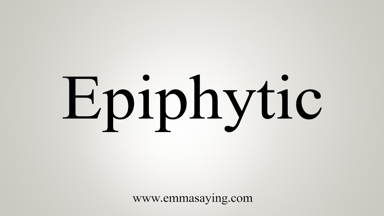 How To Say Epiphytic - YouTube