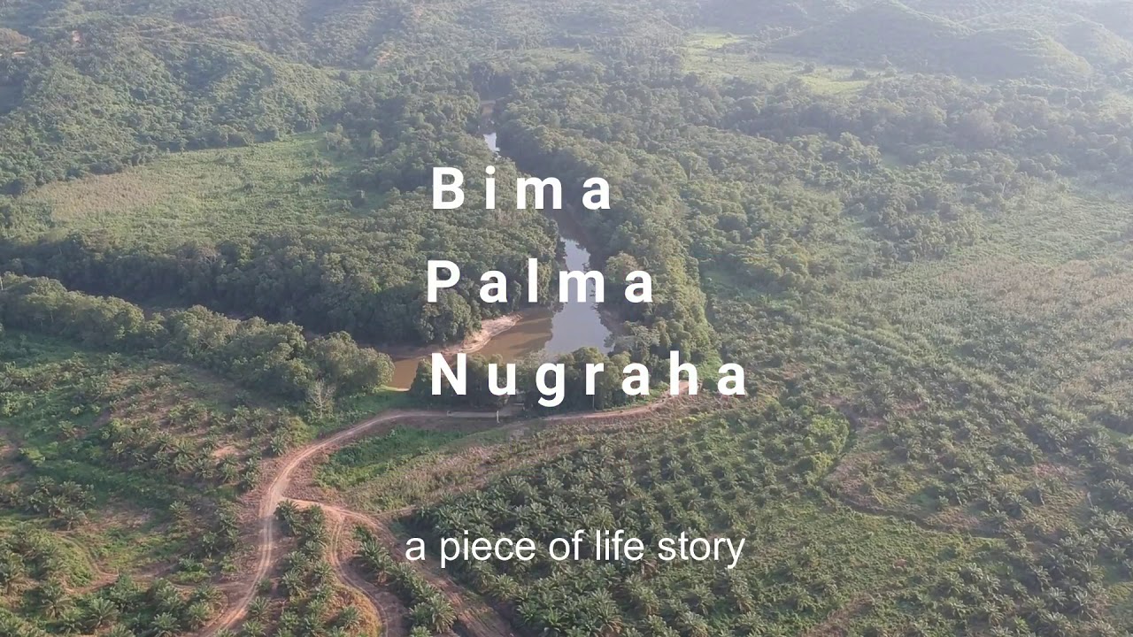 Bima Palma Nugraha alumni 1212 - YouTube