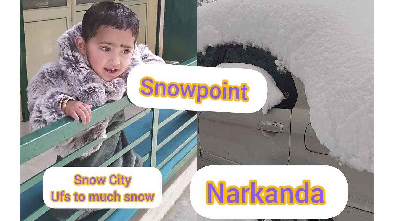Narkanda snow #Snow point #Snow in 2024#Hatu road#Snow ride#Snow city# ...