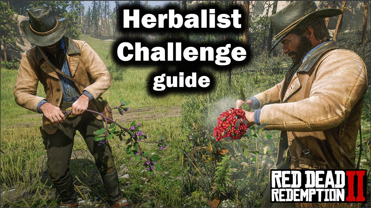 Herbalist Challenge Guide - All plants location and Tips to complete ...