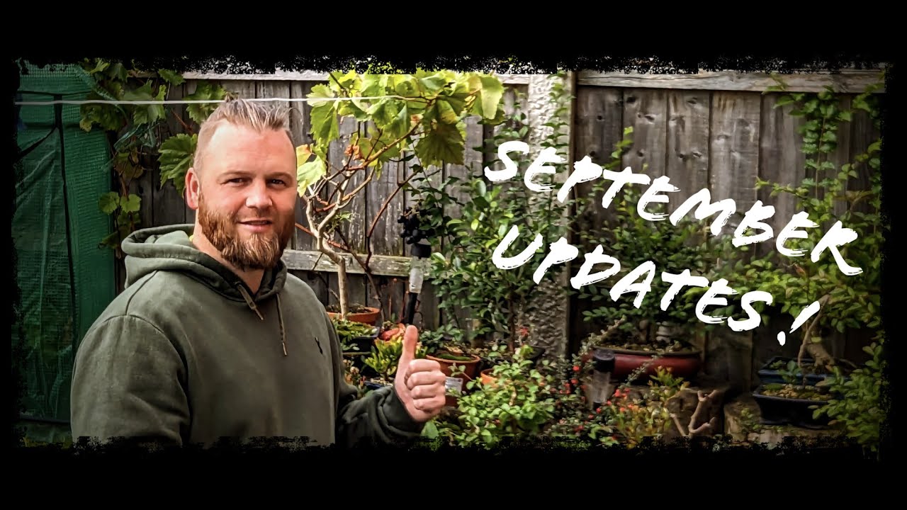 September Updates (17.09.23) - YouTube