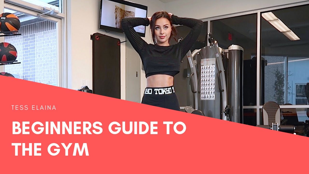 BEGINNERS GUIDE TO THE GYM How to start your fitness journey with ...