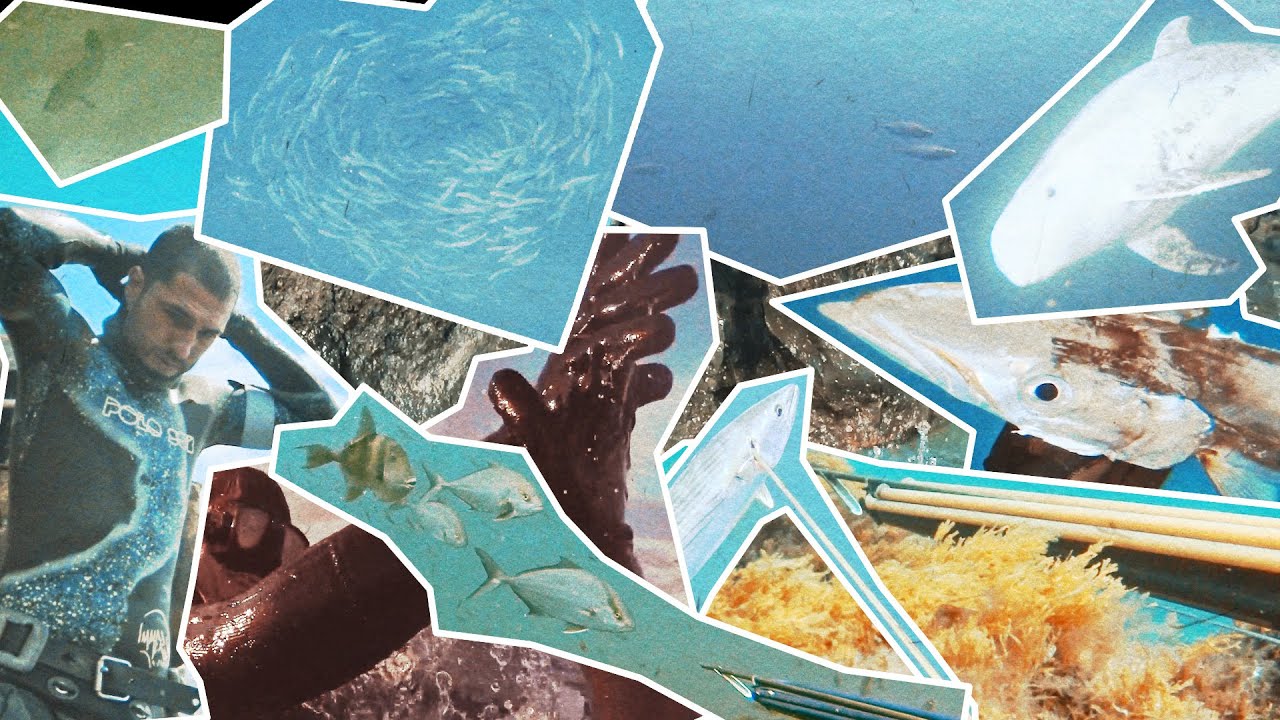 🔱PESCA SUBMARINA EN LANZAROTE. Collage. - YouTube