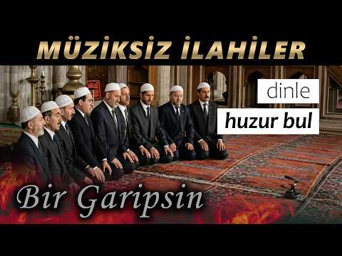 Dünyanın Faniliğini Hatırlatan Eser: Bir Garipsin | Müziksiz İlahi