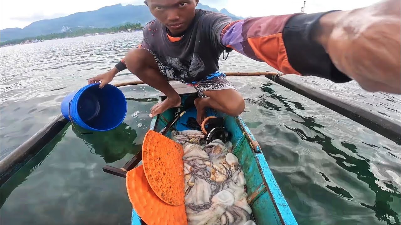 Galit na Galit ang mga pugita sa Pamain ko ! - YouTube