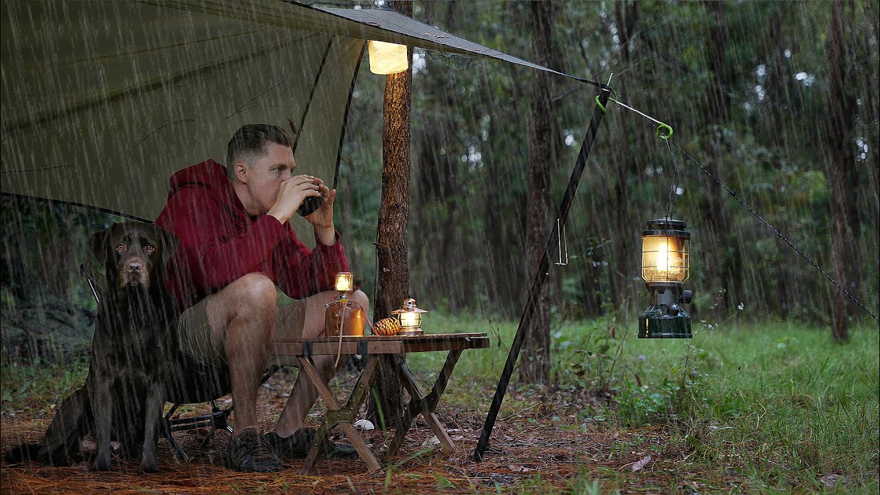 SOLO CAMPING in RAIN [ cozy relaxing Sounds of Rain | tarp shelter ...