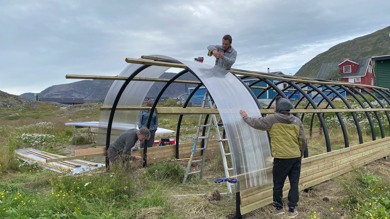 2021 Greenland Trees activities and vision for 2022 - YouTube