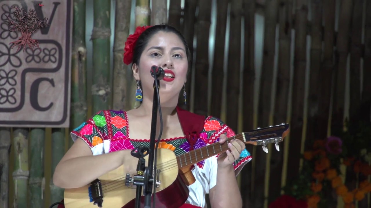 ¡Qué buena malagueña tocó el trío Andante Huasteco en Tamalin! - YouTube