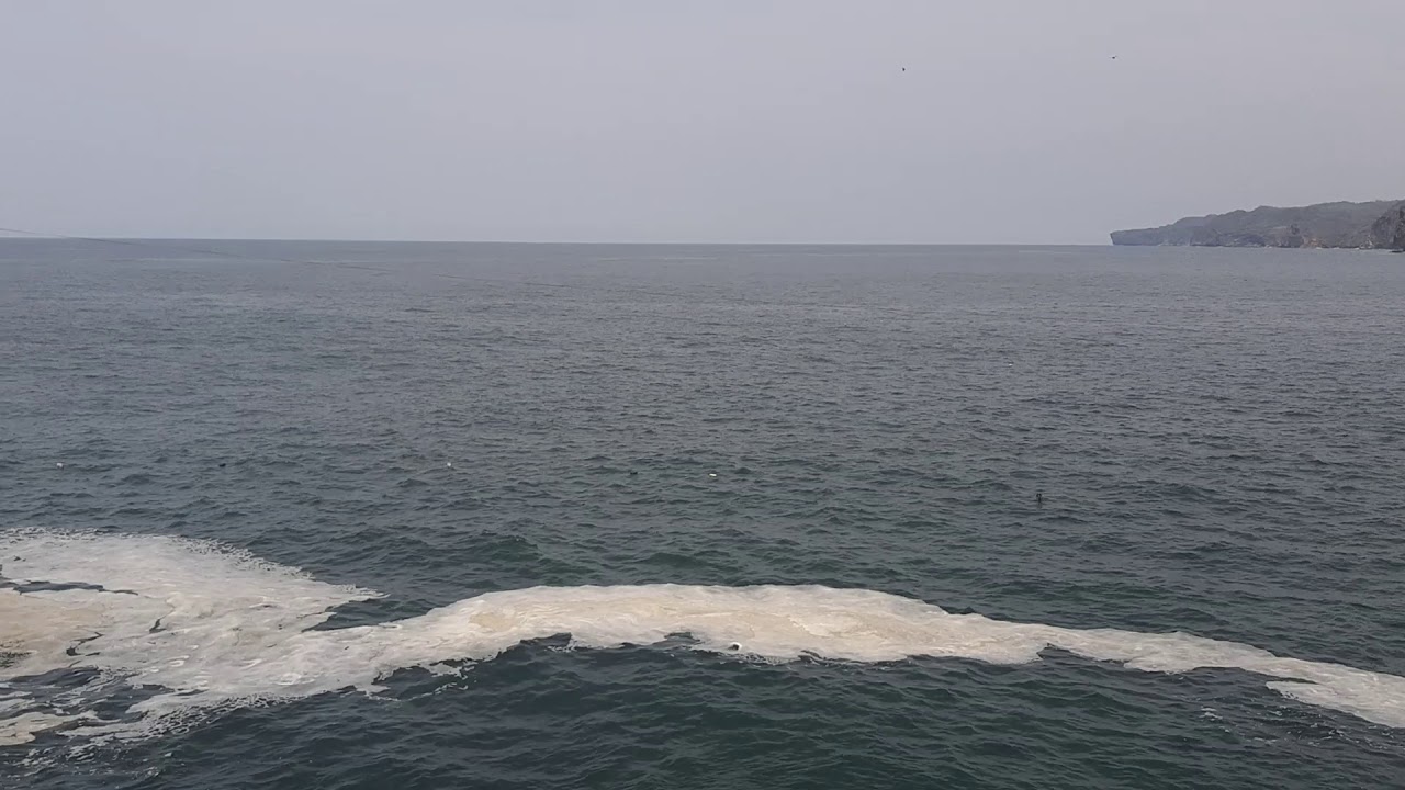 Mancing di pantai kesirat Spot tepi batu cadas Dengan berbagai jenis ...