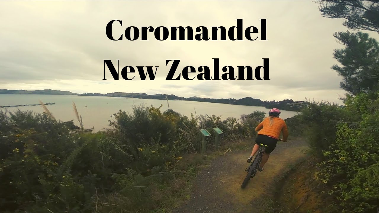 Mountain Biking Kauri Loop - Coromandel, New Zealand | with MTB-TIME ...