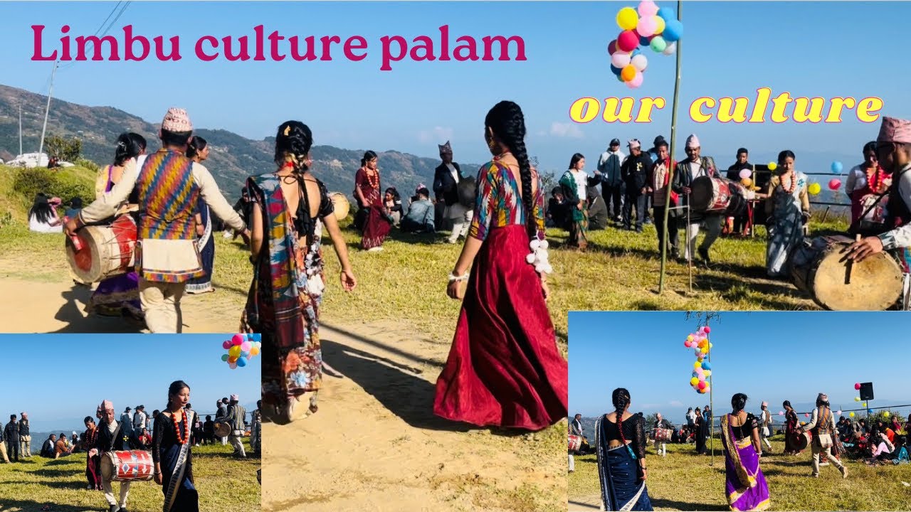 traditional limbu culture || cover palam chyabrung || ढोल नाच । - YouTube