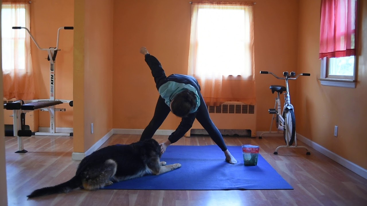 Doga Pose Study- Extended Triangle Pose - YouTube