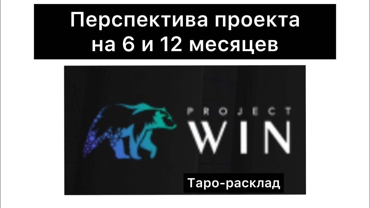 Project win. Перспектива проекта на 6 и 12 месяцев. - YouTube