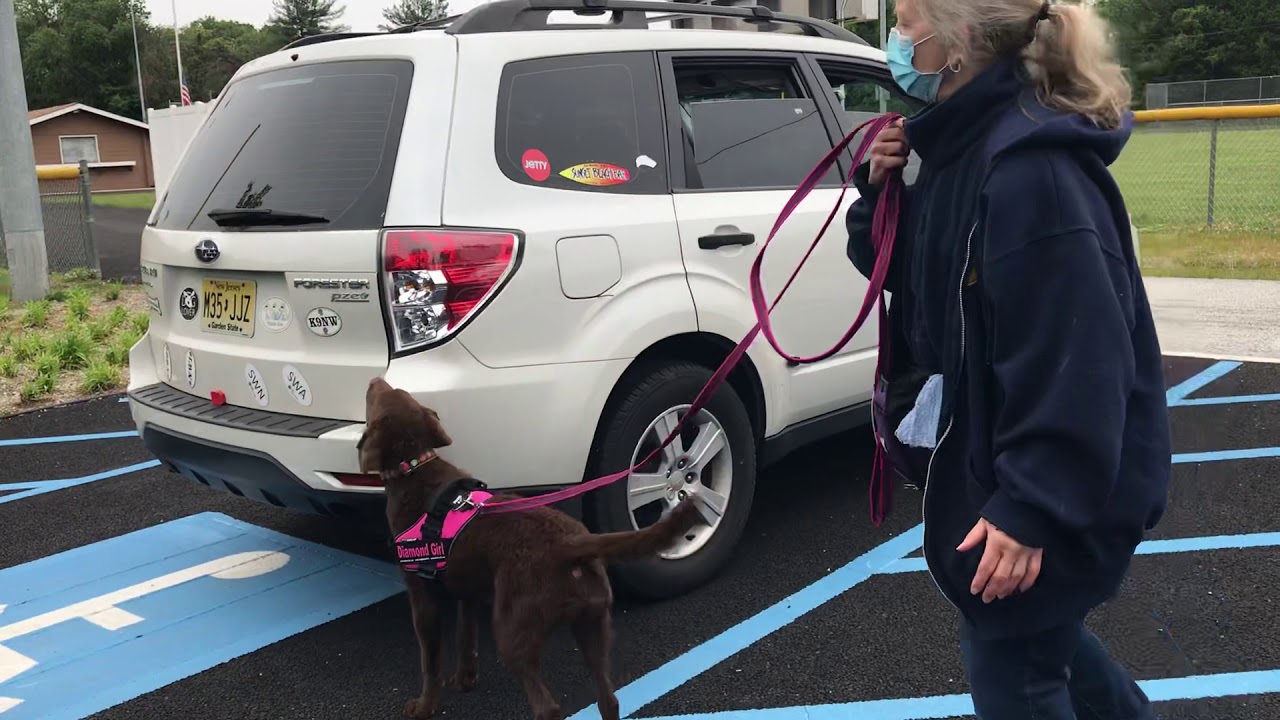 05-25-2020 Gia’s Vehicle Search - YouTube