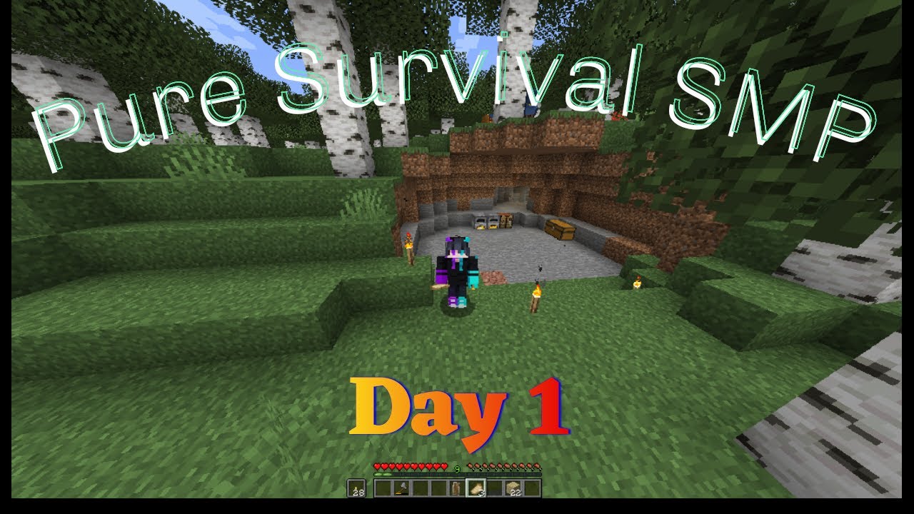 Surviving the First Day in Minecraft SMP: PURE Survival Challenge ...