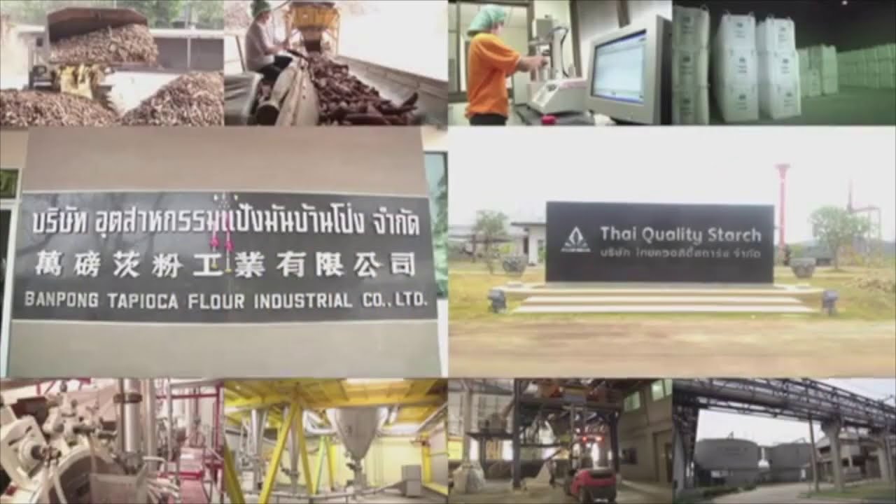 Banpong Tapioca - Certified Standard - YouTube