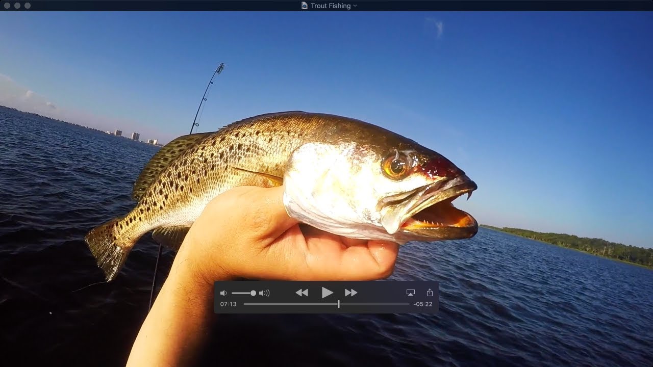 Nonstop Speckled Trout Bite! - YouTube