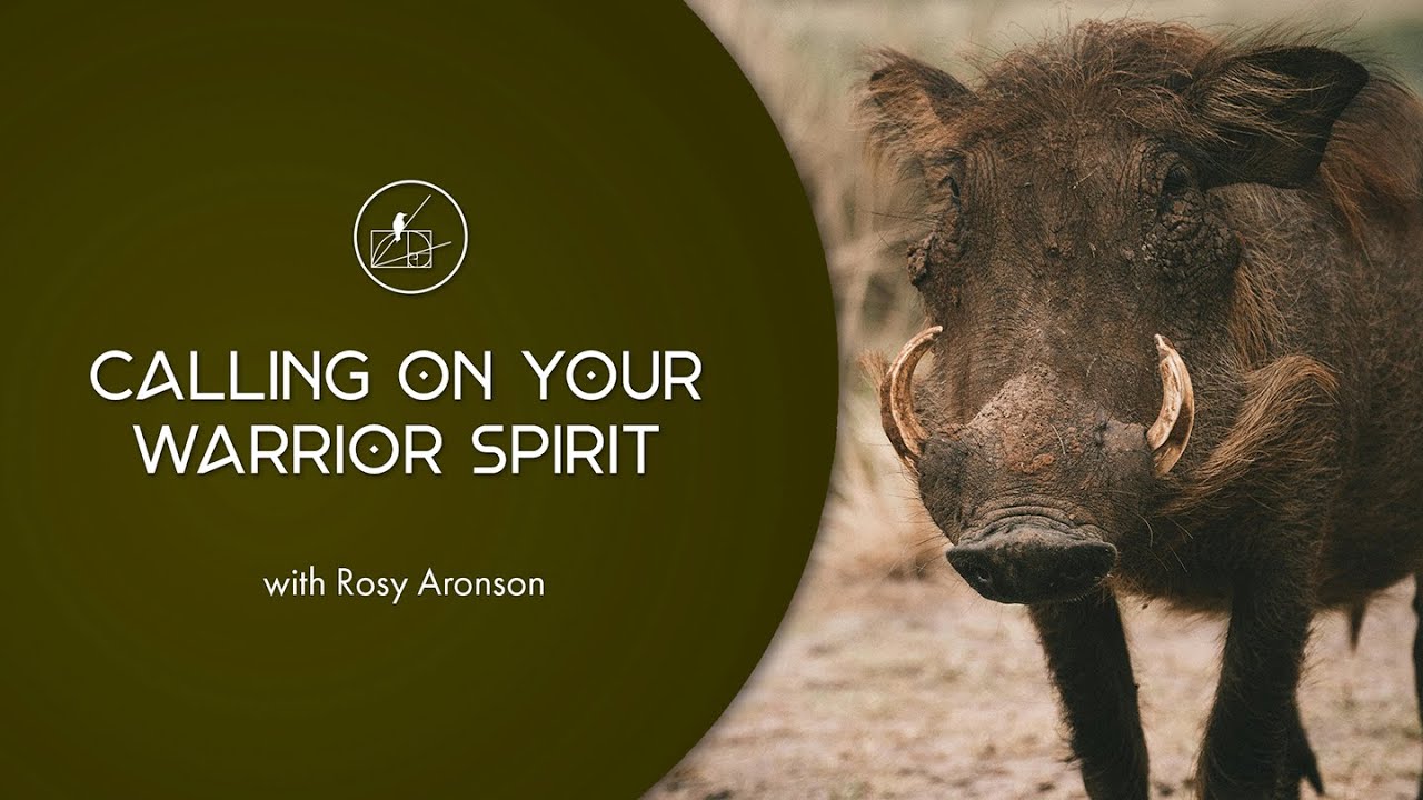 Calling On Your Warrior Spirit - YouTube