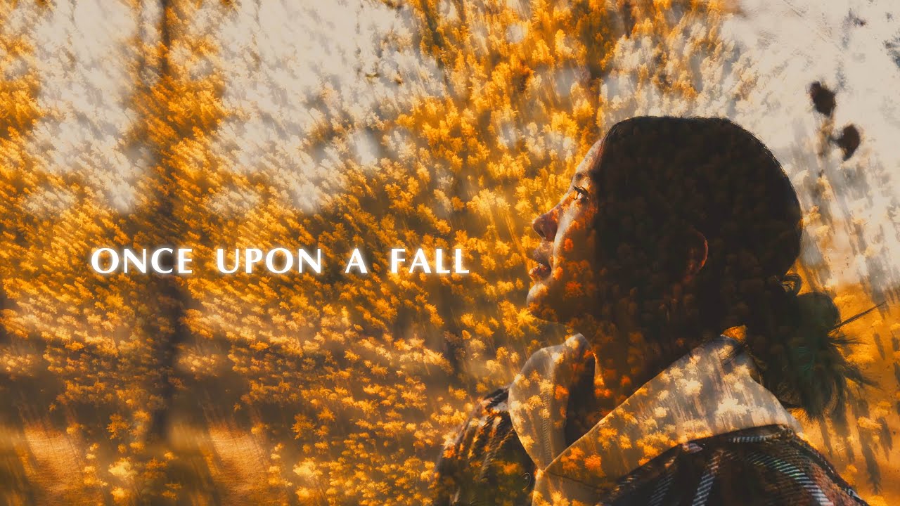 Once upon a fall 🍁 - YouTube