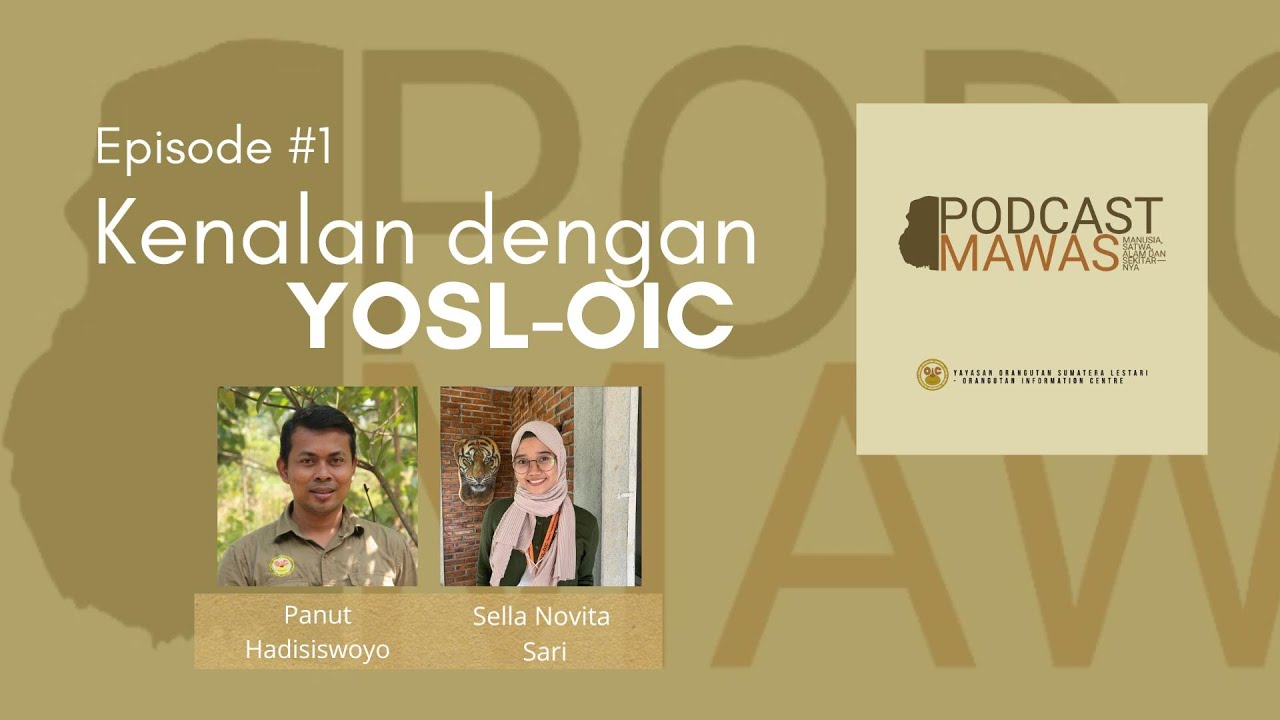 Podcast Mawas Eps #1 - Berkenalan dengan YOSL-OIC #yosloic # ...