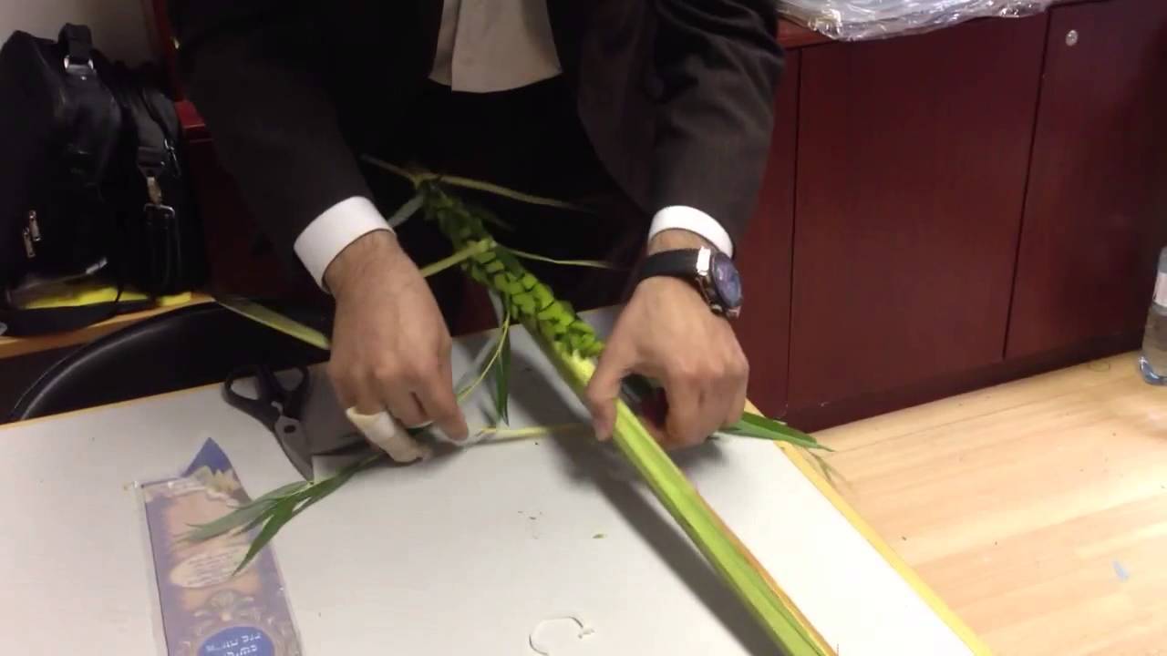 Die 4 Arten von Sukkot (Arbaat Haminim) - Rav Albert Shamonov - YouTube