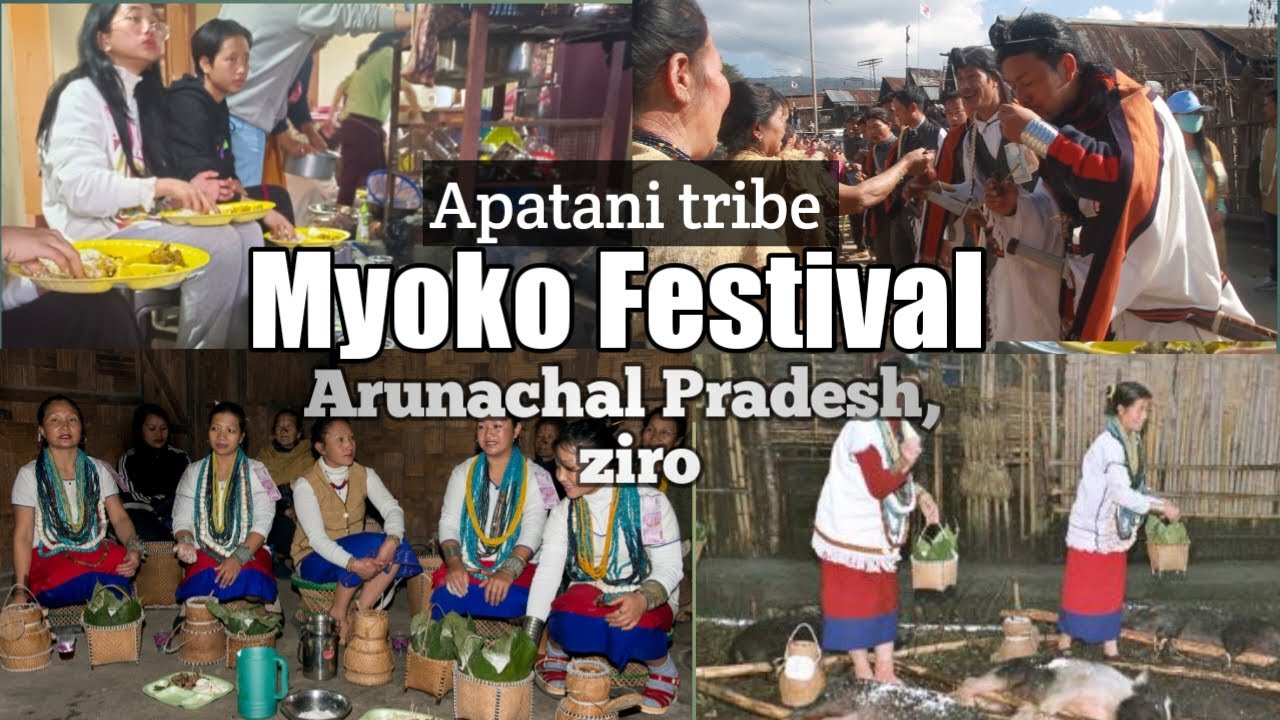 Got an invitation to eat myoko food🍛🍗 || myoko Festival - YouTube