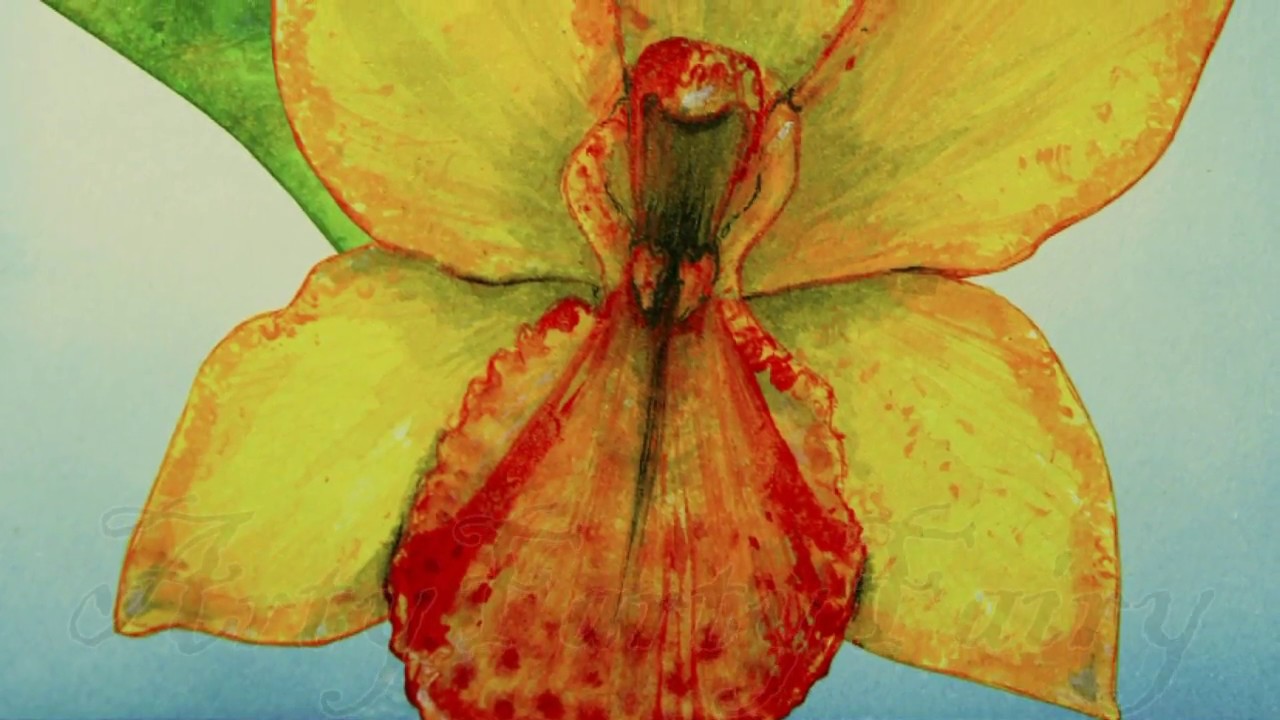 Pulled String Painting - Making Realistic Flower Petals The Easy Way ...