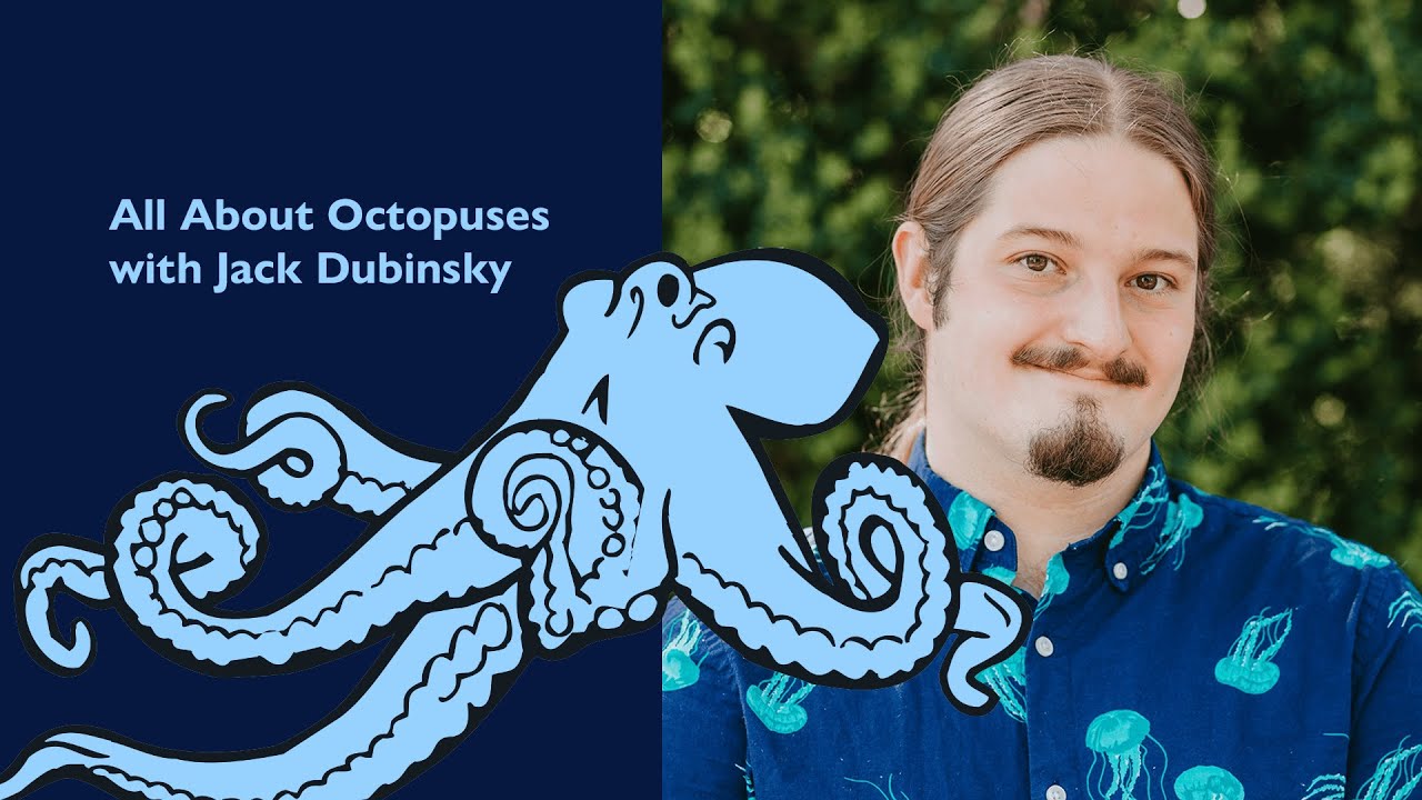All About Octopuses: Biology, Ecology, and Behavior of These Mysterious ...