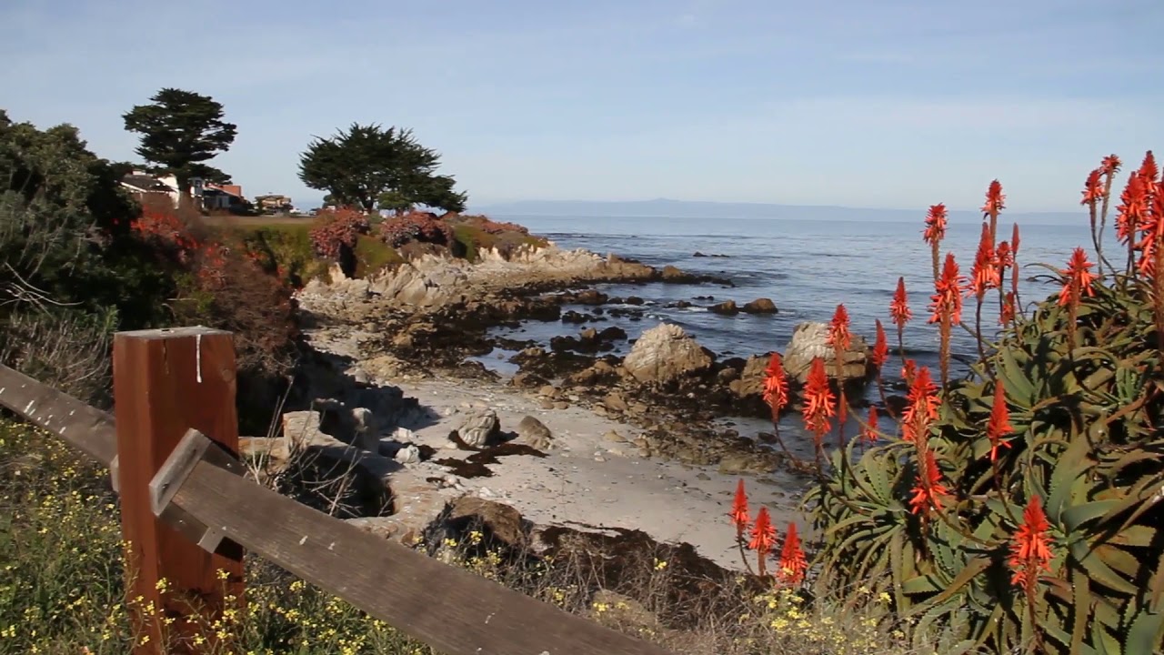 Monterey Bay promo - YouTube