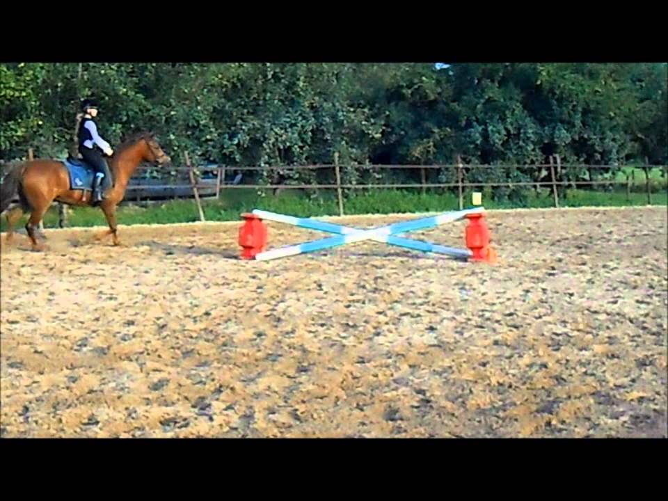 Springparcours 15 augustus 2013 - YouTube