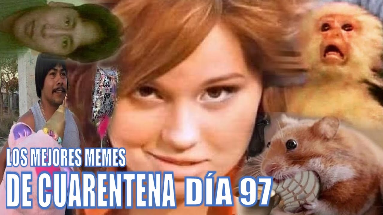 LOS MEJORES MEMES DE LA CUARENTENA | MEMES DIA 97 DE LA CUARENTENA ...