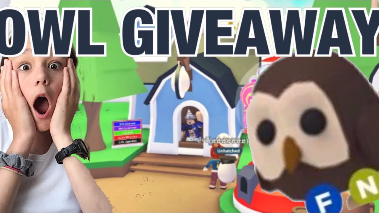 ADOPT ME OWL GIVEAWAY - YouTube
