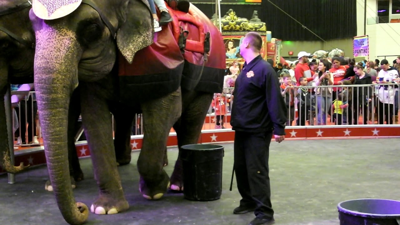 Zor Shrine Circus/Carden Circus Madison Wisconsin 2018 - YouTube