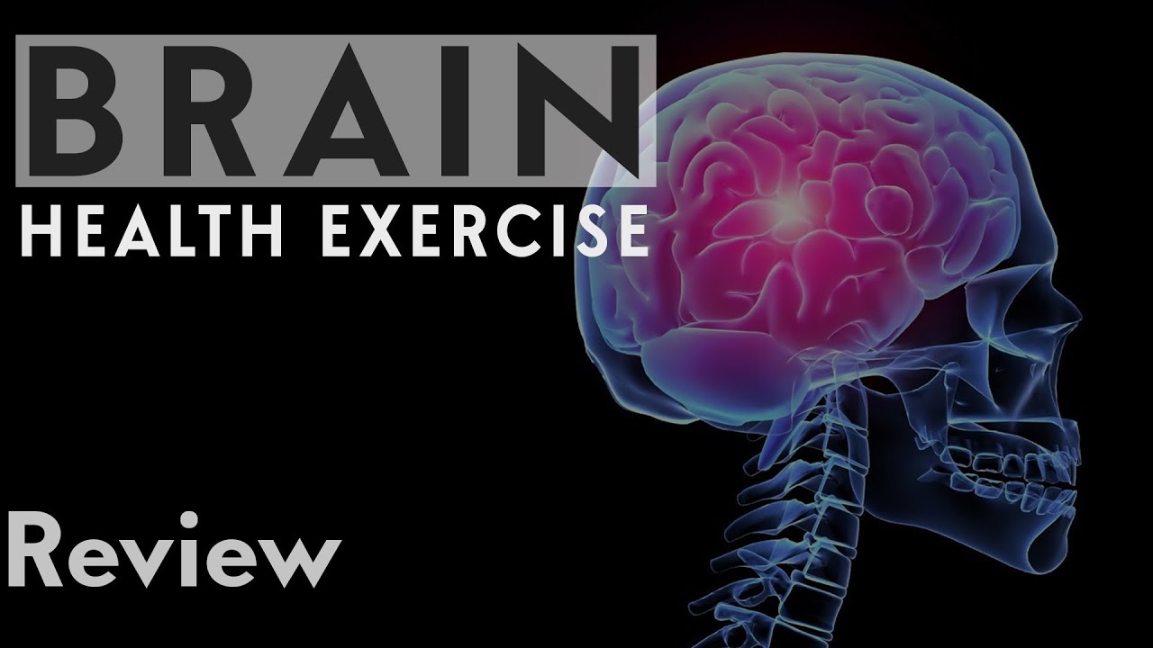 The Brain a Beginners Guide | Brain Health Training Exercises | Brain ...