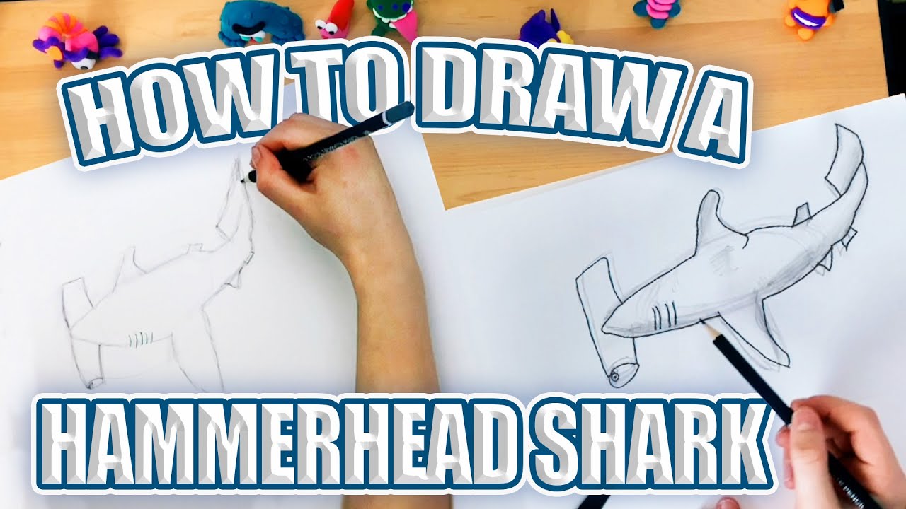 HOW TO DRAW A HAMMERHEAD SHARK | STEP-BY-STEP - YouTube