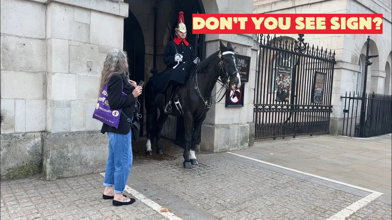 Can't You See the Signs? Silly Tourist Asks to Pet Guard Horse! - YouTube
