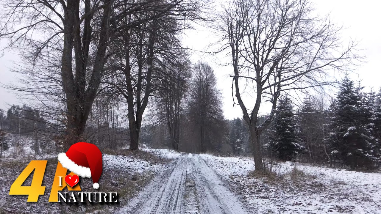 First Snow | Snow Is Falling Ambience 4K ASMR - YouTube