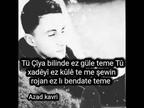 Kürtçe Damar Sözler kürtçe En Güzel Sözler (®) Azad kavri kürtçe Aşk sözler kürtçe sözler Helbest