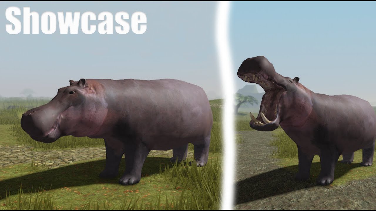 Hippo Showcase Animal World - Roblox - YouTube