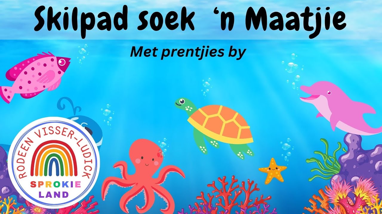 Skilpad soek 'n maatjie | Met Prentjies by |Afrikaanse Stories oor ...