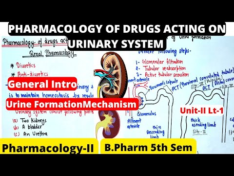 Pharmacology of drugs acting on Urinary system(General Intro and Urine ...