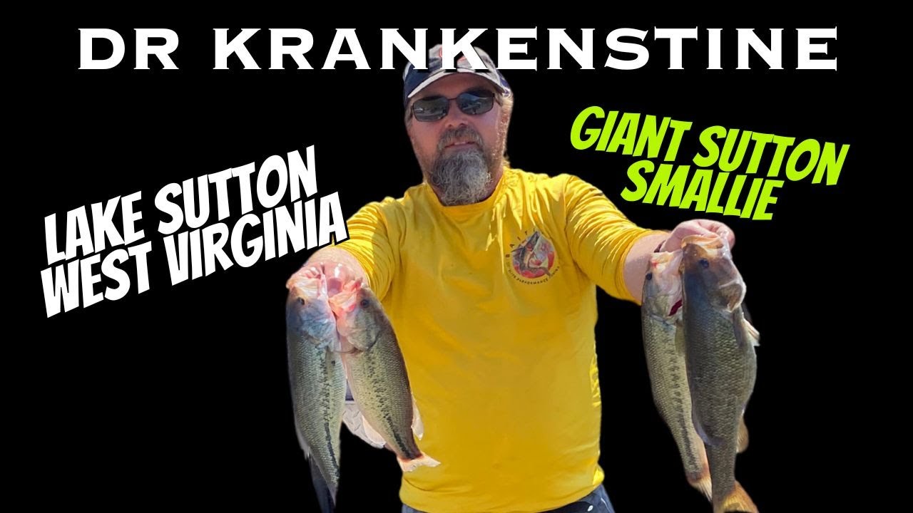 BIG SMALLMOUTH BASS Lake Sutton West Virginia Bass federation buddy ...