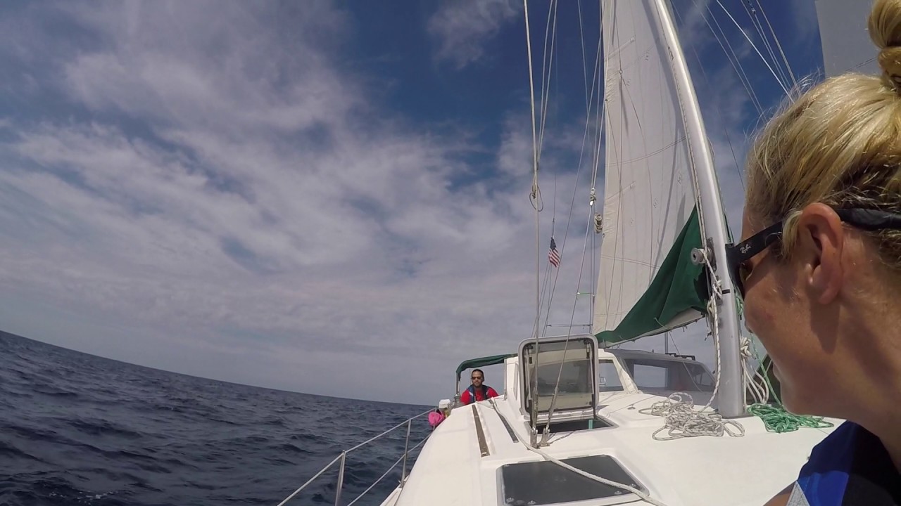 Sailing with Dolphins in the Bahamas - YouTube